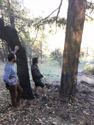 Building a Zip Line in 6 easy steps - Mount Hermon Christian Camps and ...