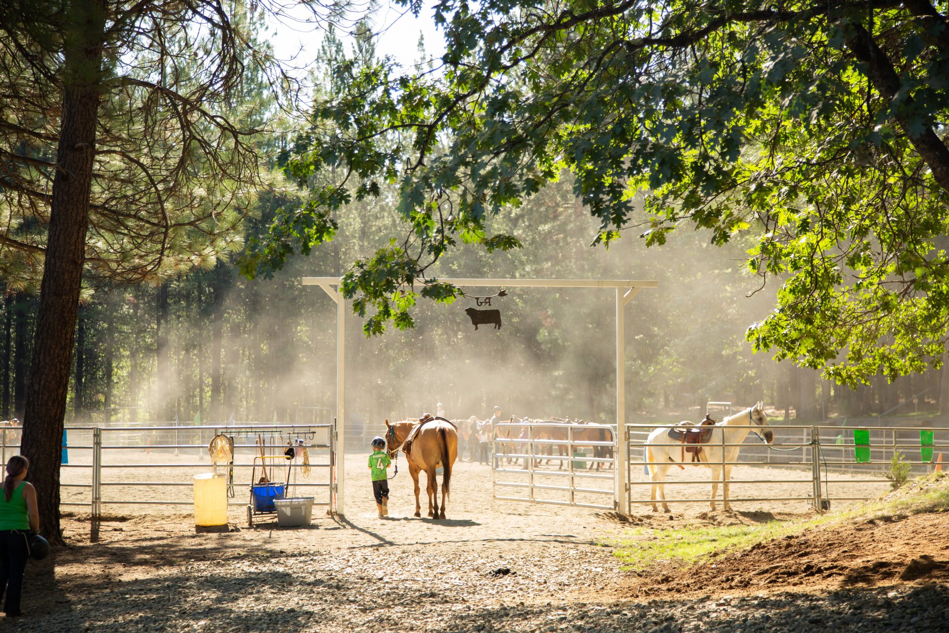 Lives Transformed at Ranch Camp - Mount Hermon Christian Camps and ...